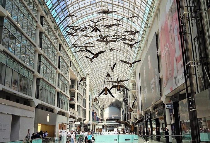 30 Awesome & Unusual Things To Do In Toronto